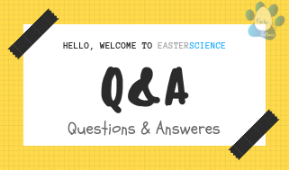 Ask Question - EASTER SCIENCE